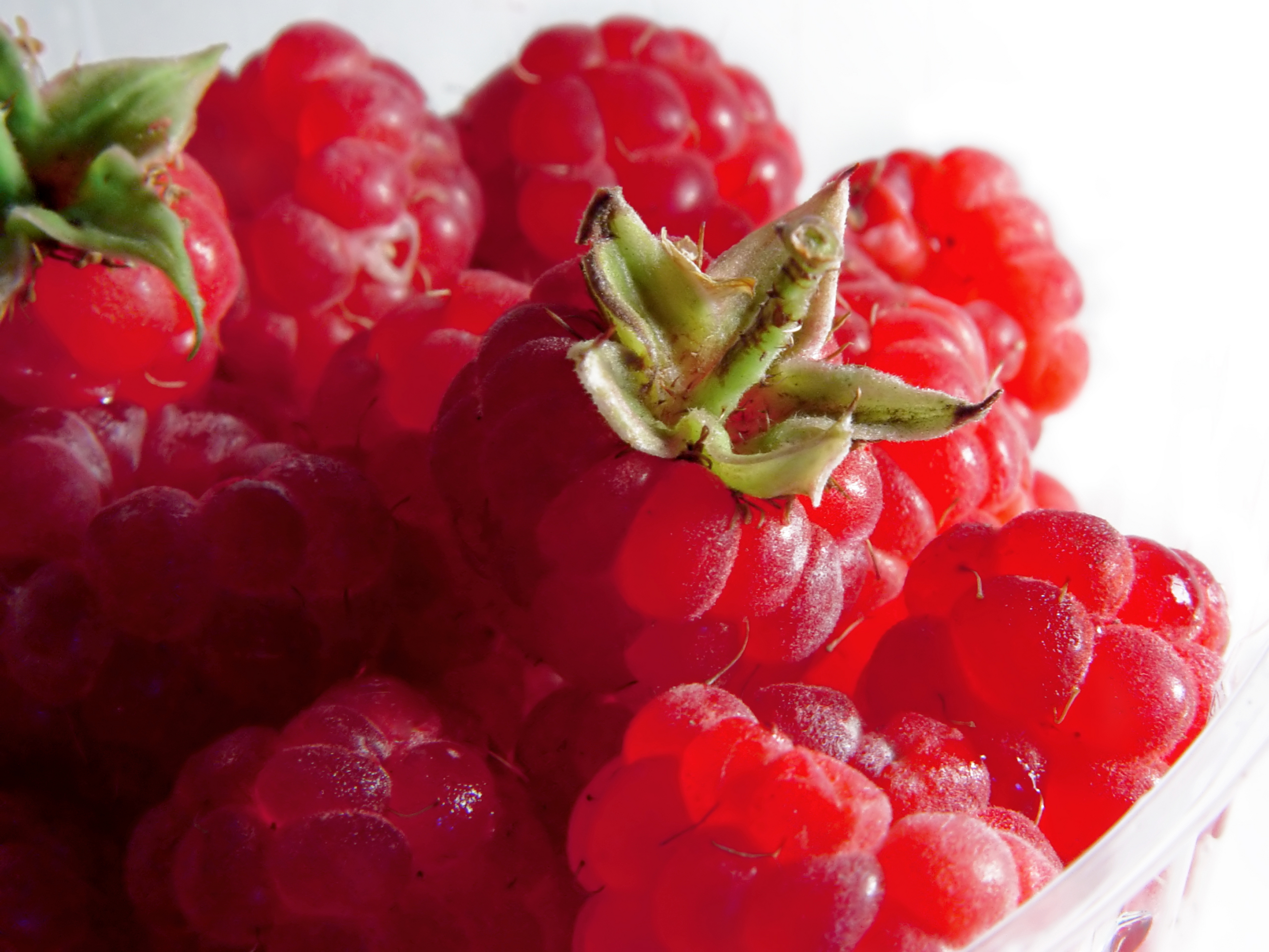 Gallery | ingredientrade