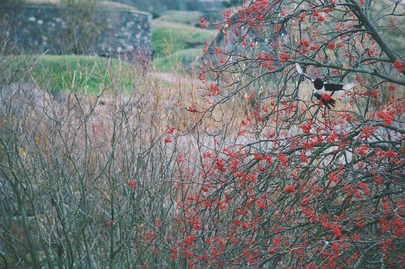 出展者が1名加わりました。POV Kyoto写真展2024