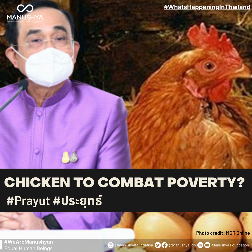 🐓Chicken to Combat Poverty?