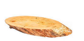 Tora de madeira natural alongada | eventoscombossa