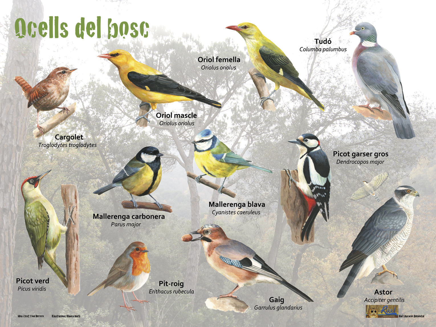 nou1 | Paisatges i cartells