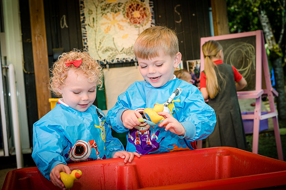 ACE | Hatch Beauchamp C of E Primary School | Somerset