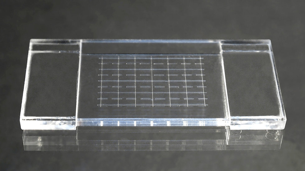 Nematode Counting Slide | vetslides