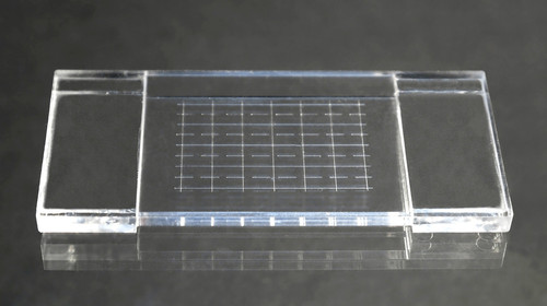 Nematode Counting Slide | vetslides