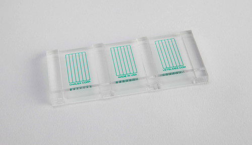 Triple-Chamber McMaster Slide | vetslides