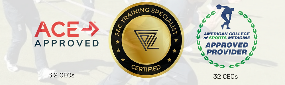 Best Strength and Conditioning Certification for Certified Personal ...