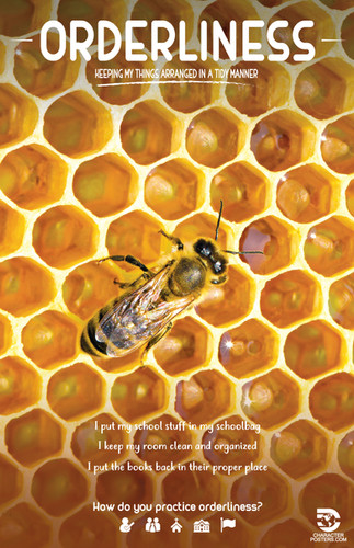 Animals with Examples - Orderliness | Answers4eternity