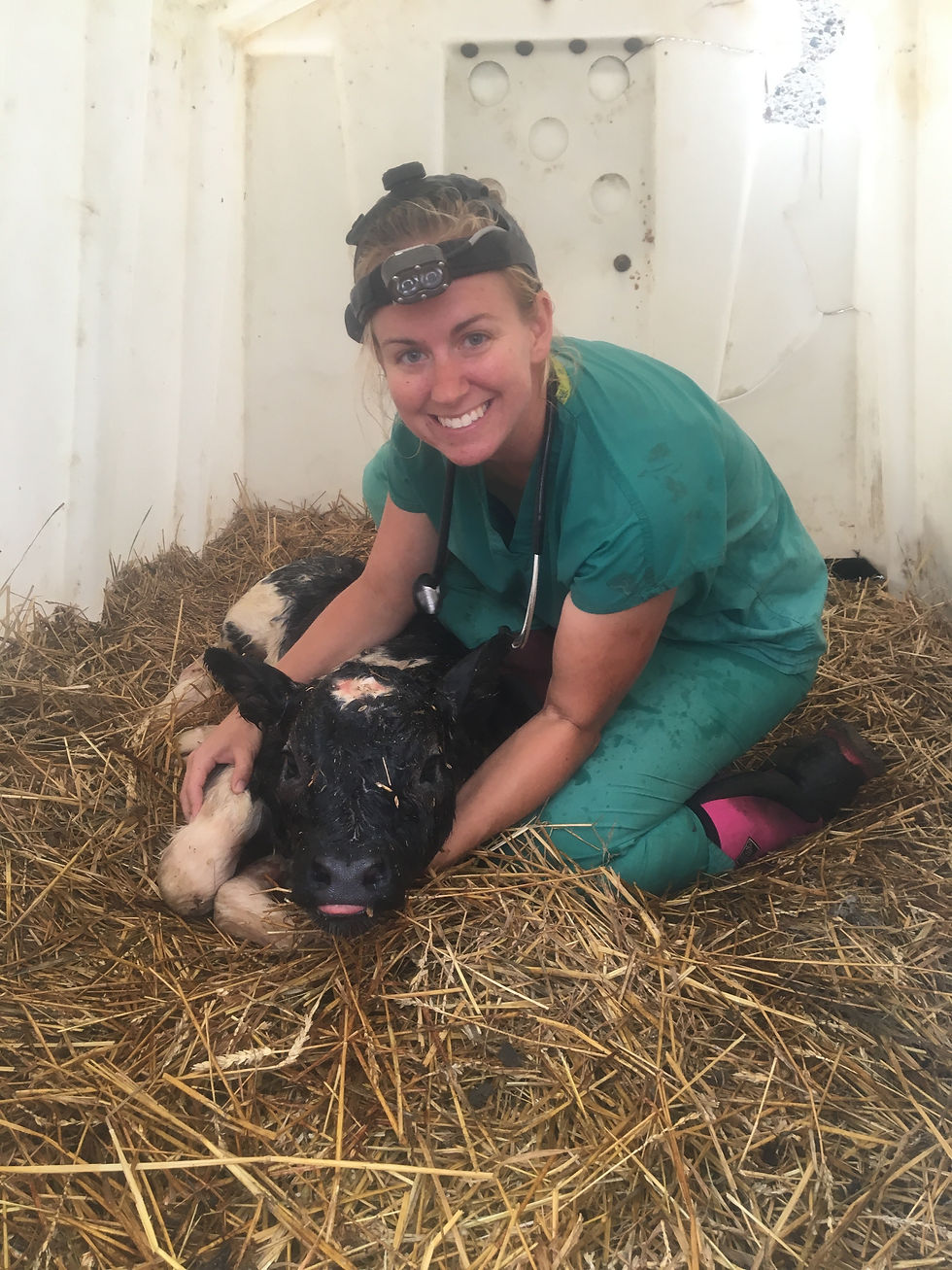 OUR STAFF | clintonvetsvc