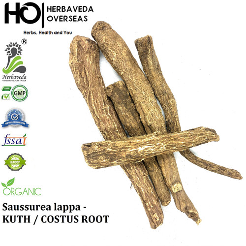 Saussurea lappa / Kuth root / Costus root | HERBAVEDA OVERSEAS