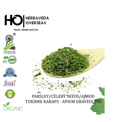 PARSLEY/CELERY SEEDS/AJMOD TUKHME KARAFS - APIUM GRAVEOLENS | HERBAVEDA ...