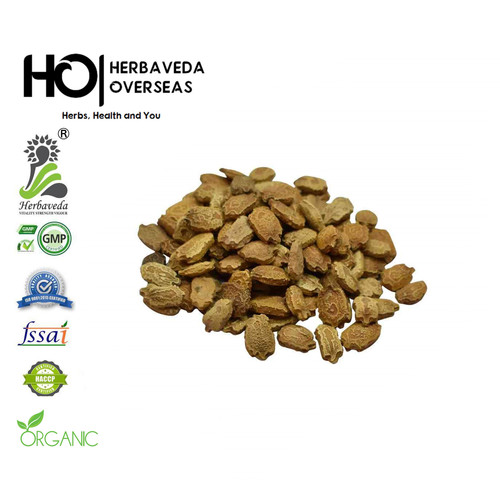 Karela Beej - Sabu - Bitter Gourds Seeds - Momordica Charanita ...