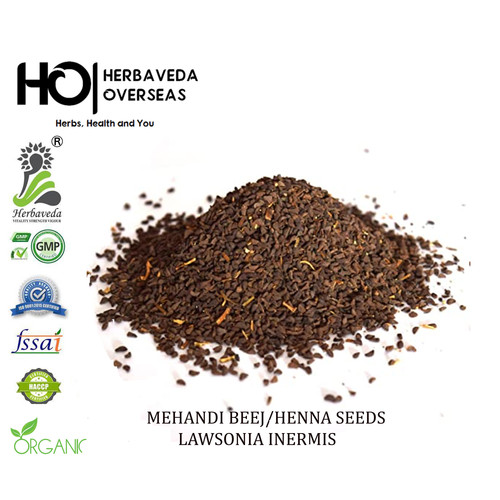 MEHANDI BEEJ/HENNA SEEDS - LAWSONIA INERMIS | HERBAVEDA OVERSEAS