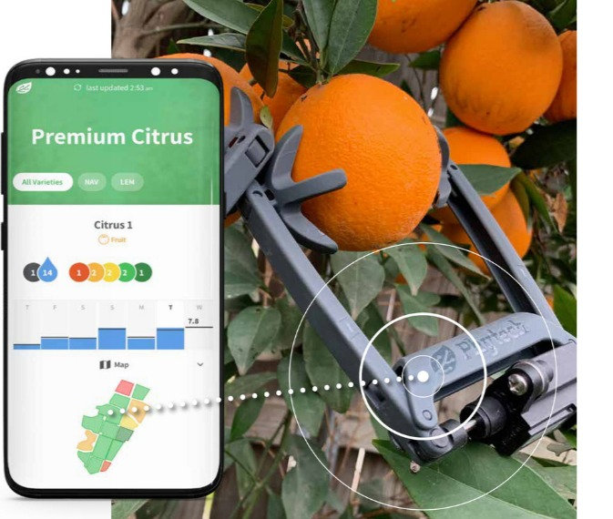 Control Citrus Size and Growth - Revolutionized. Simplified. Precise