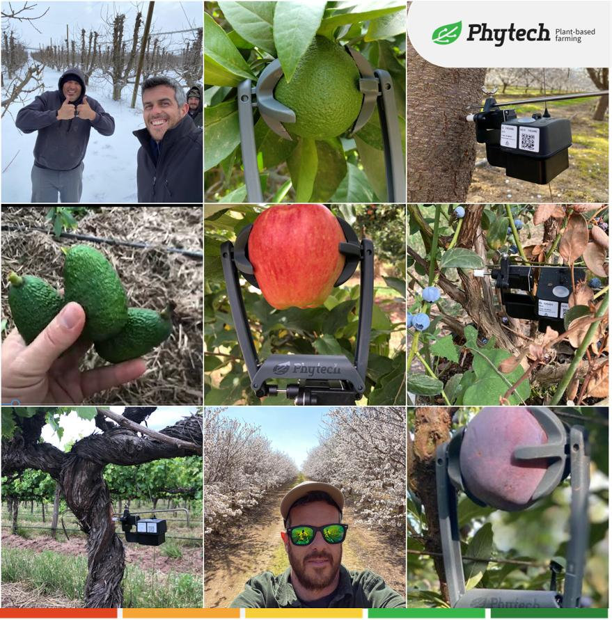 Continuing to serve our clients - and plants!