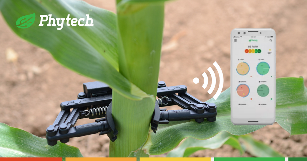 Phytech for row crops: 2021 pre-orders available at a 40% discount