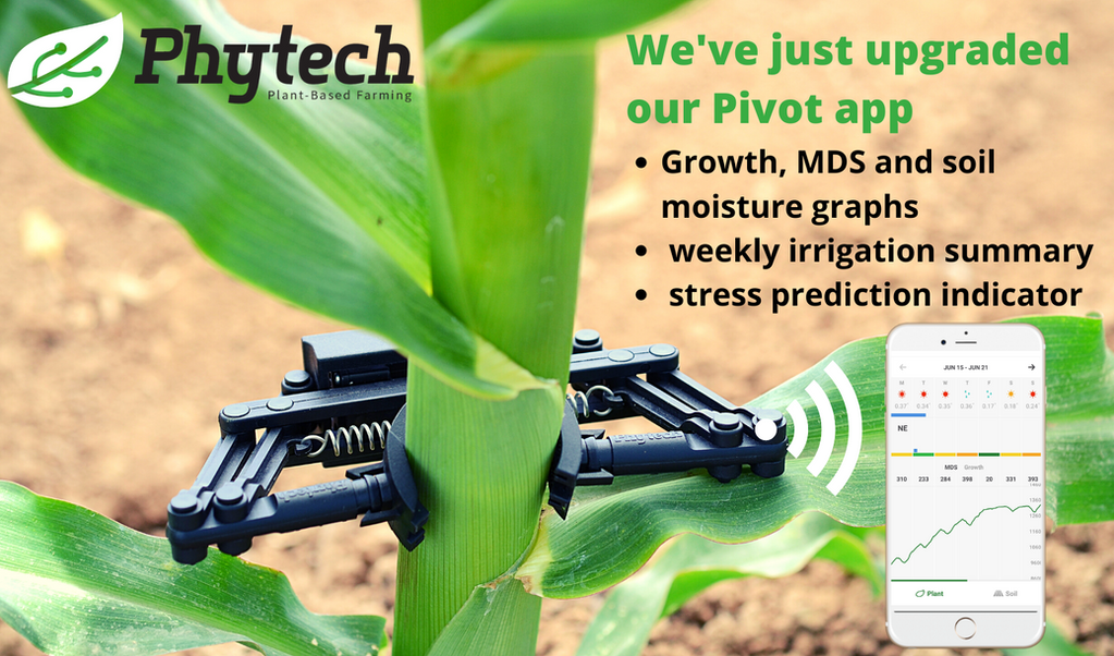 KNOWLEDGE CENTER | phytech2020