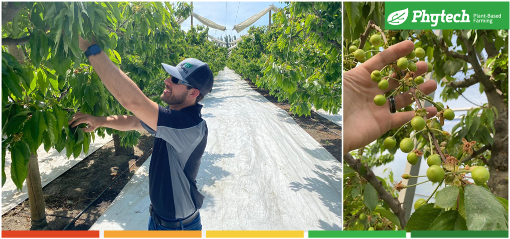 NEWS | phytech2017-copy