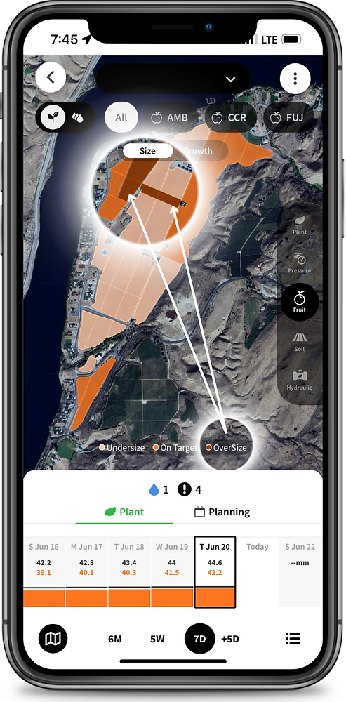 How Phytech apple growers save crops by detecting and reacting in real ...