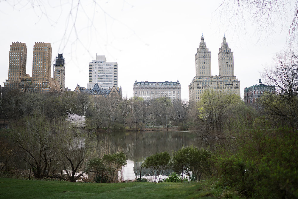 ANDREW & DANIEL || Engagement photos at Central Park, NY