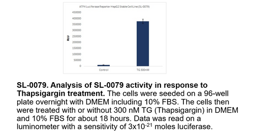 ATF4 Luciferase Reporter HepG2 Stable Cell Line SL-0079 | Signosis