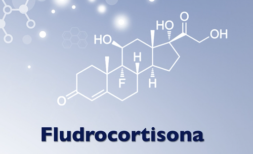 Fludrocortisona: 0.1 mg 100 ml Susp. ó 0.1 mg 100 capsulas | Soluciones ...
