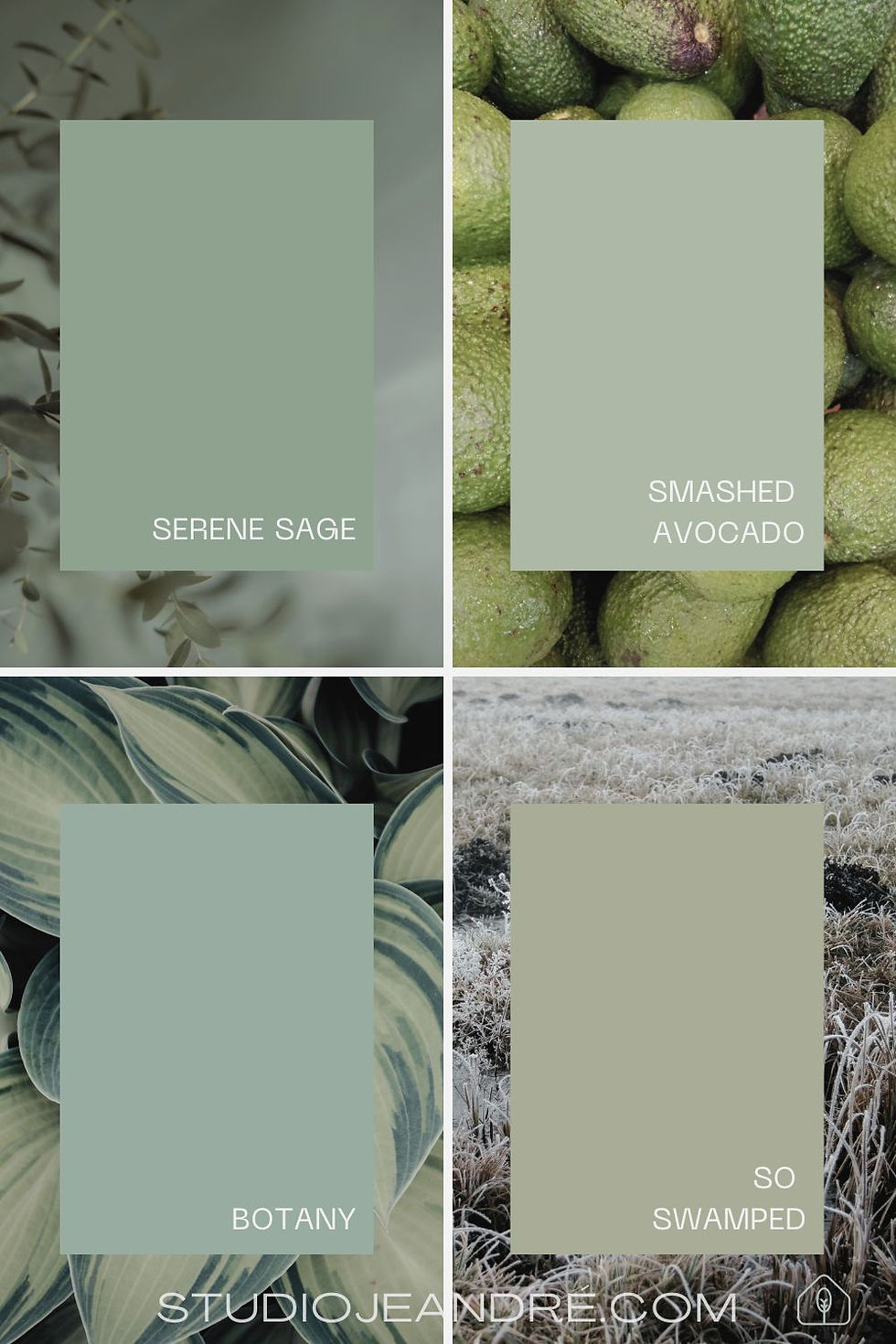 Discover the Serenity of Neutral Green Paint Colours for Walls