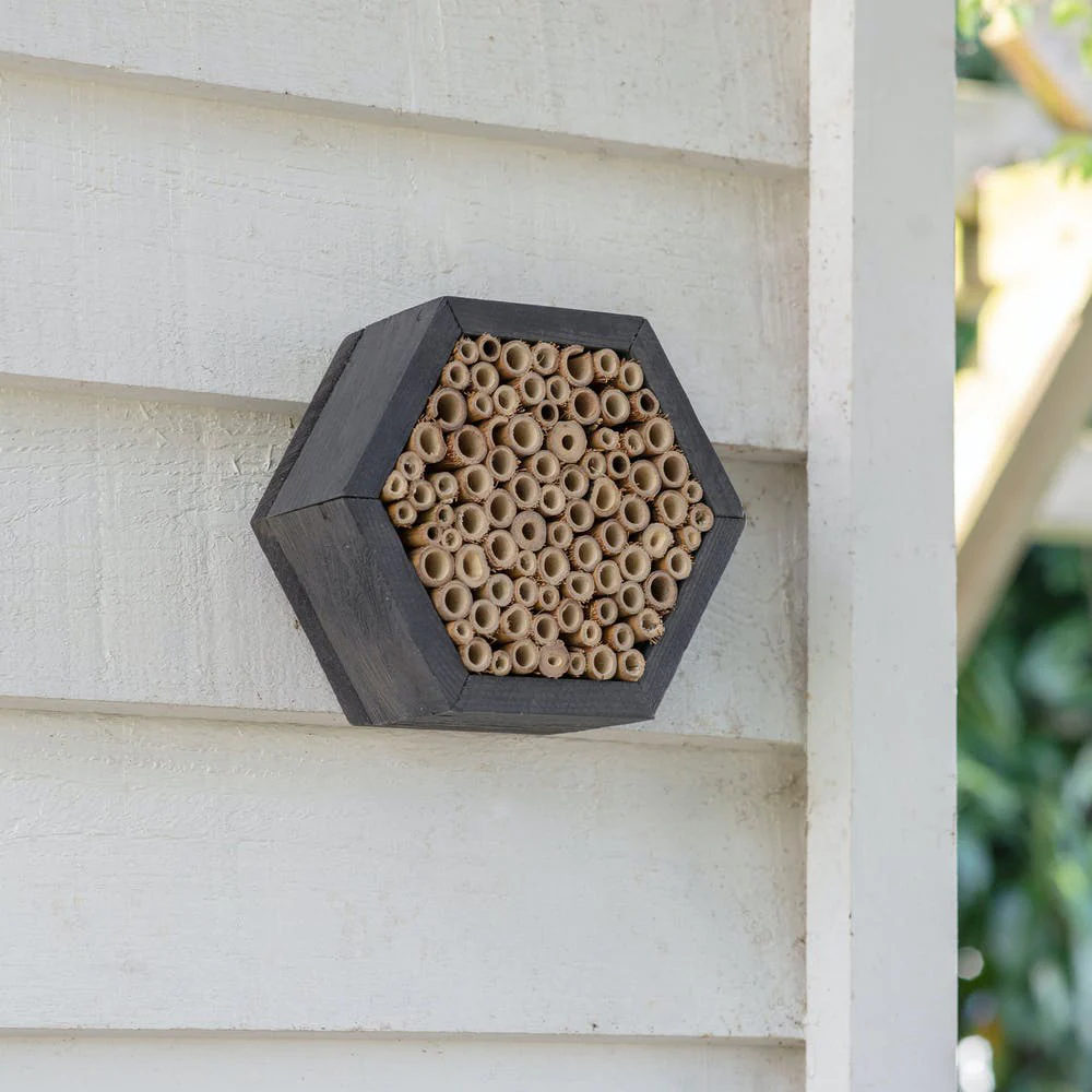 5 Outdoor Home Accessories Every Household Needs