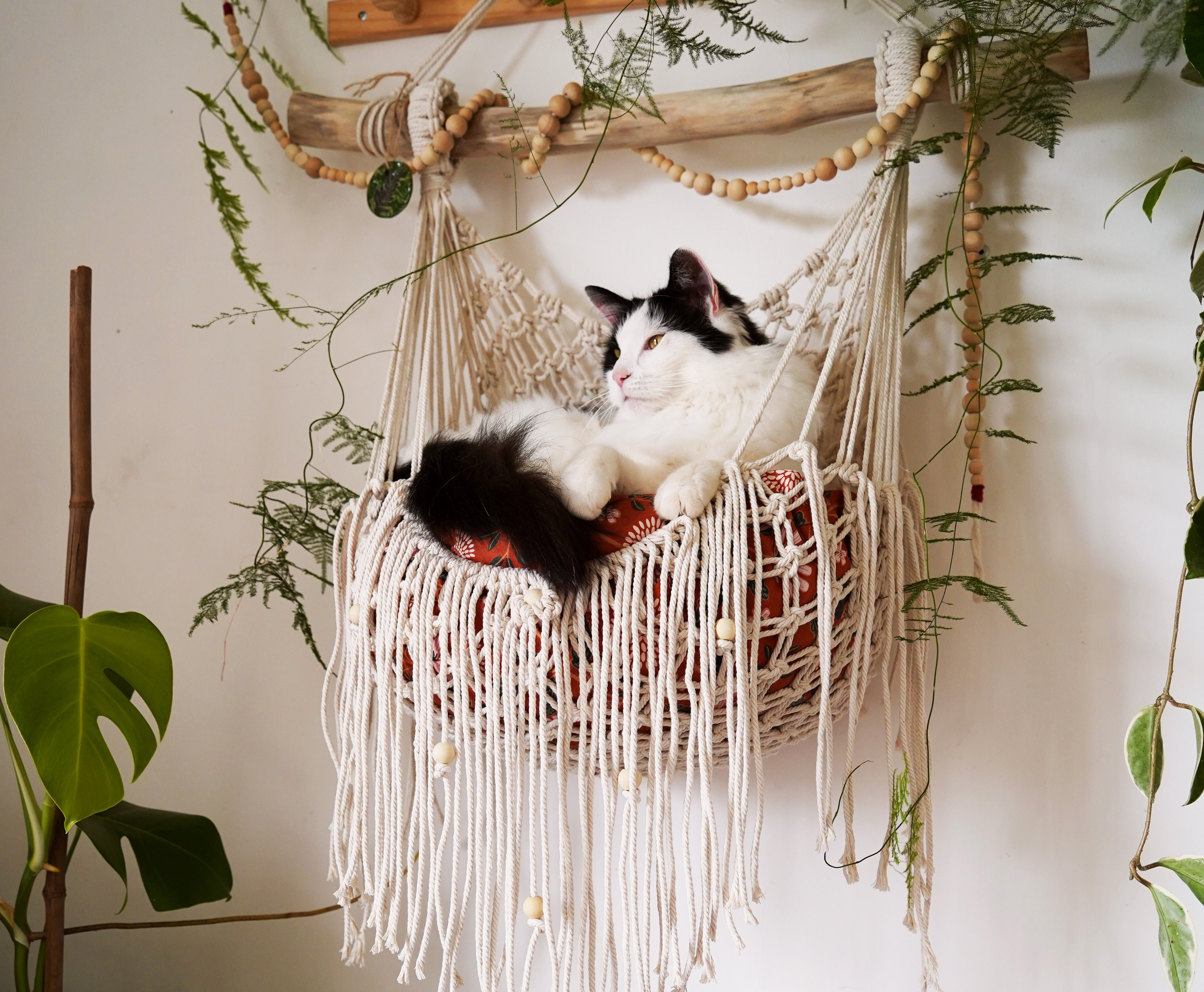 Hamac pour chat | un accessoire indispensable