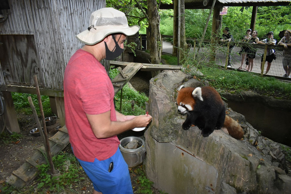 Wild Encounters at the Columbus Zoo