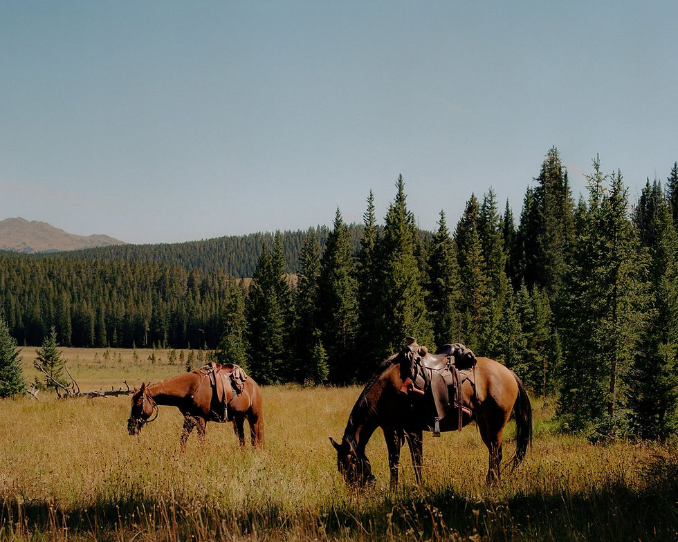Ranchlands Unveils NEW Wyoming Luxury Guest Ranch: Paintrock Canyon Ranch