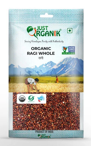 Organic Finger Millet, Raagi Whole 2 LB (Best Before January 2026 ...