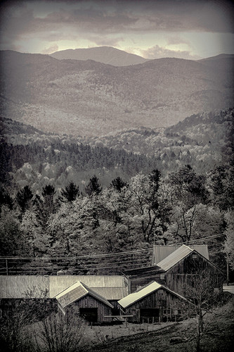 Percy Farm, 10 2021 | The Current