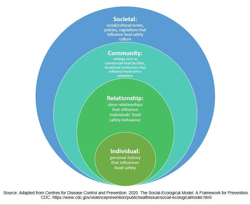 Applying a Social Ecological Model as a Framework for Targeted Food ...