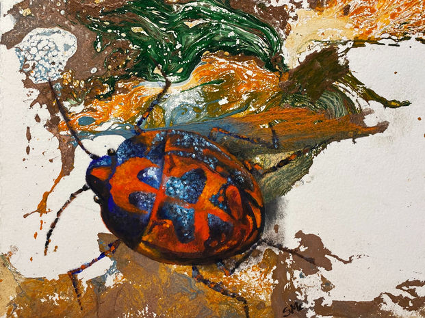 PORTFOLIO | Sharon Mccall Art