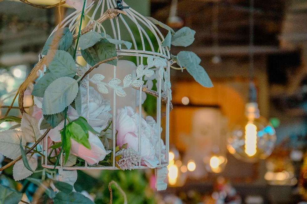 Asian Restaurant | Di Fiora Seattle | Seattle