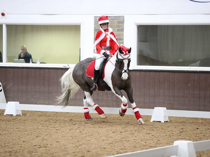 Gallery | Bury Farm Equestrian