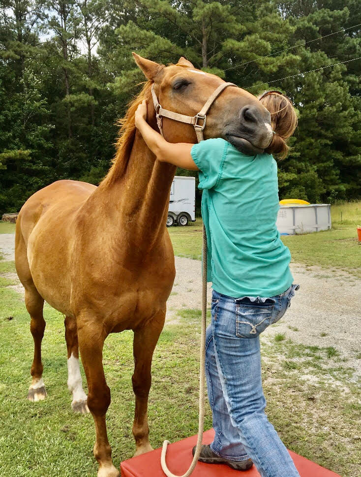 Your Horses’ Posture Part I: What is Posture and How is it Evaluated???