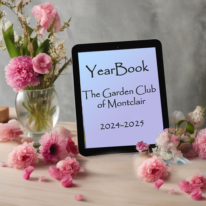 Yearbook 2024-2025