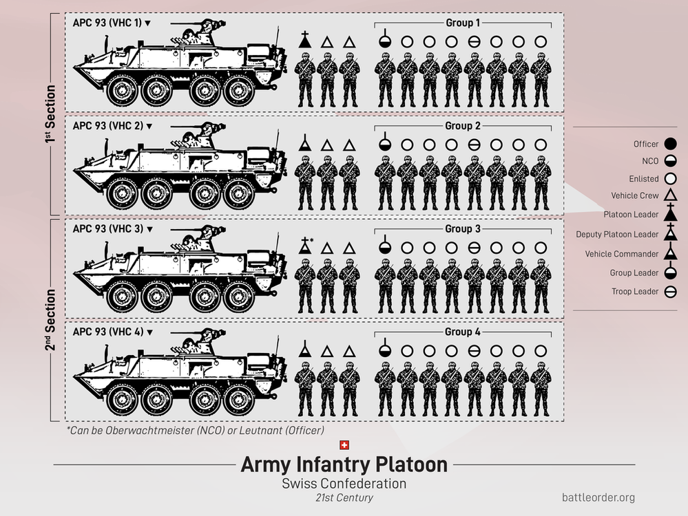 Swiss Infantry Platoon (2019-Present)