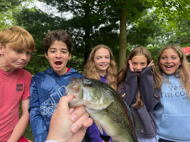 Week 2: Wild and Wacky Fun