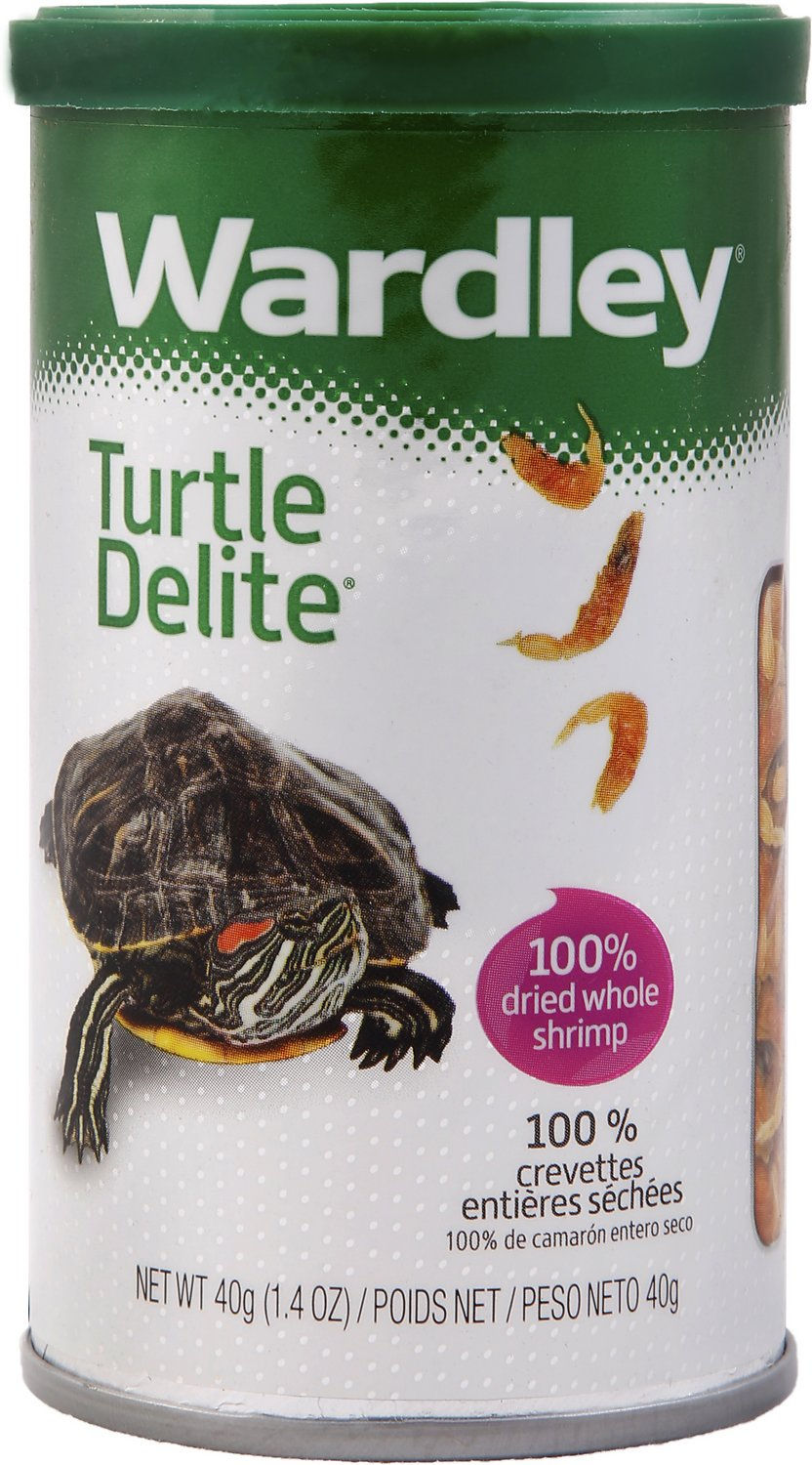 REPTILES |Representaciones EGM | Guatemala