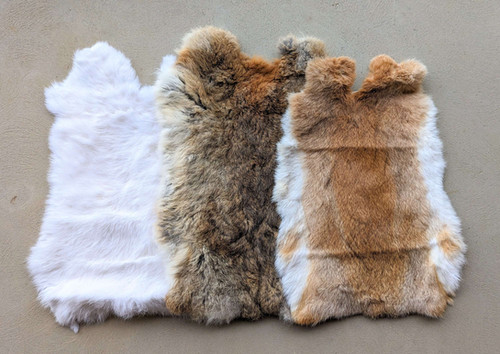 B Grade Rabbit Pelts | Chimera Taxidermy