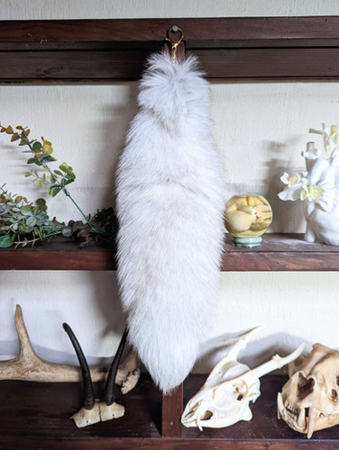 Arctic Fox Tail Keychains | Chimera Taxidermy