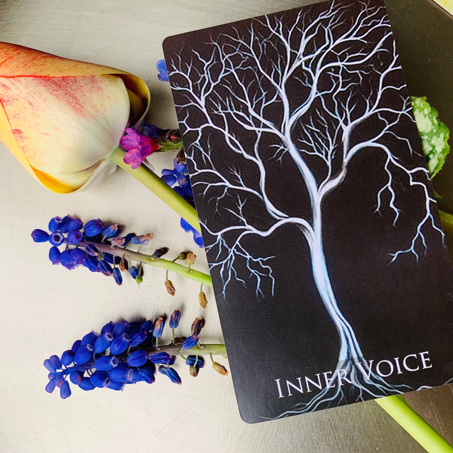 Coaching | Soul Trees