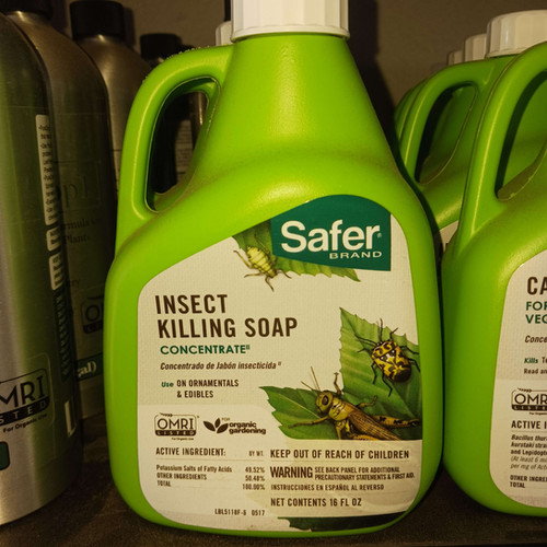 Safer Brand Insect Killing Soap | Desert Grown Organic