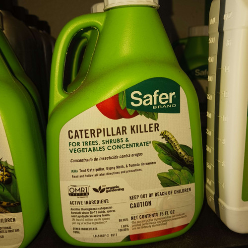 Safer Caterpillar Killer 16oz | Desert Grown Organic
