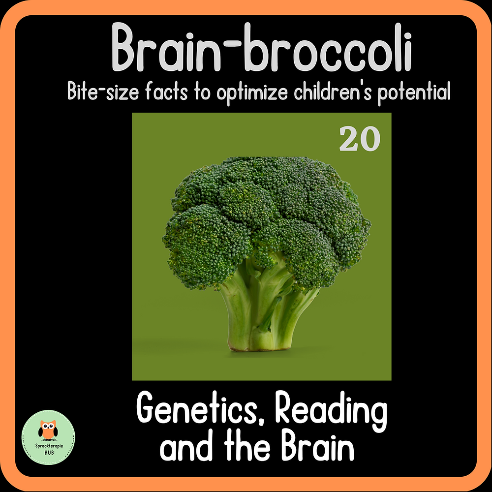 Brain-Broccoli 20: Genes, Reading and the Brain