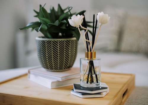 Reed Diffuser | Spark & Stone Co