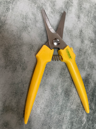 Bunch cutter Oasis®️ | sosdecor