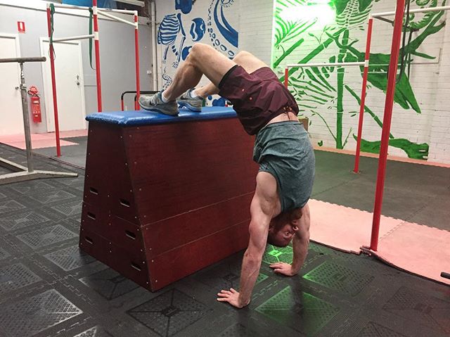 Melbourne calisthenics - Melbourne Personal Training